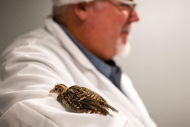 photo credits: East Texas A&M University Office of Marketing and ...