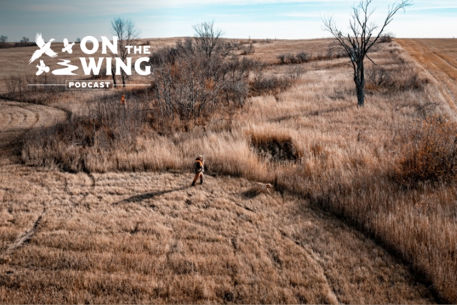 07e35b1f-07ea-4129-a880-18b987c927af