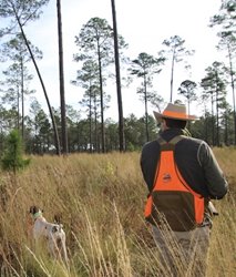 New Quail Forever Chapters Founded in Georgia and Kentucky