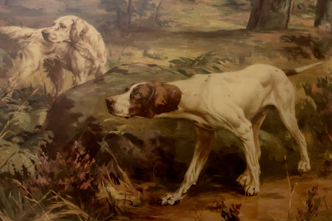 13ec761e-2500-4b0e-bfc9-25c30f59f7f6