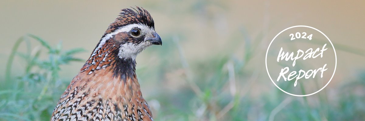 We hope to see you in Kansas City