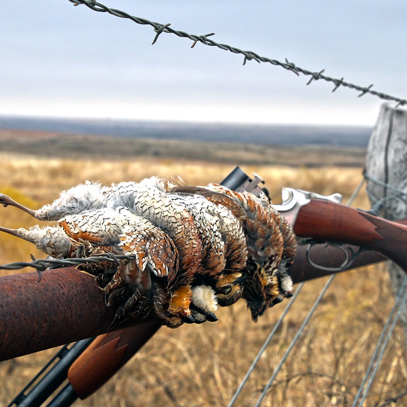 Many hunters throughout Kansas are having memorable hunts through ...