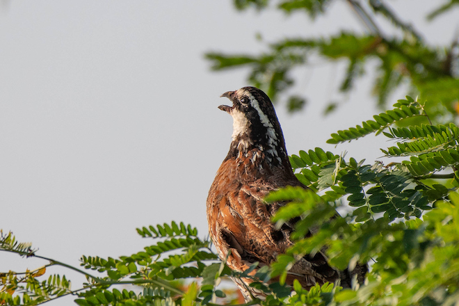 1ff785ca-ba01-4365-90cc-ce7388322a68