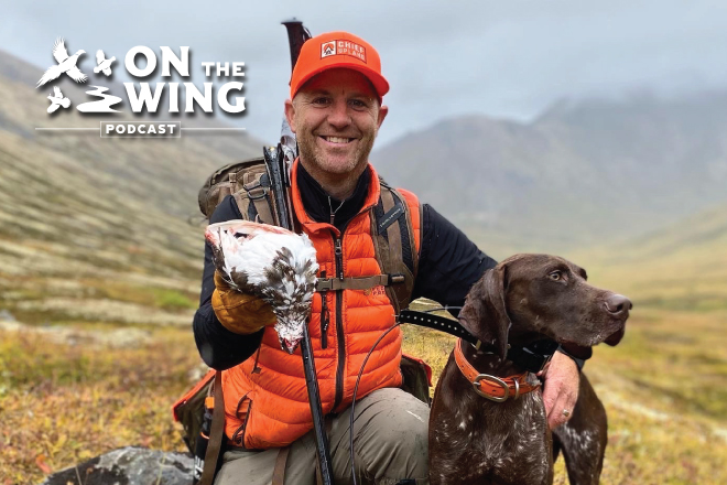 2534848d-699f-4d41-9596-80dae5dc59d8