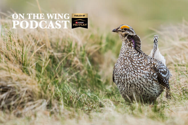 2b3122a8-25f4-4650-8f40-58666313eba8