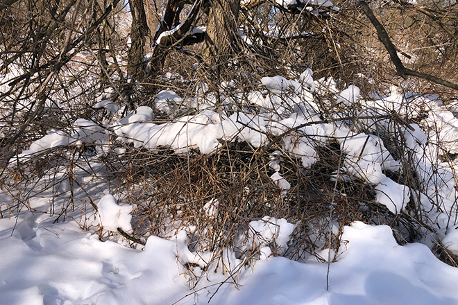 2d2ee195-1c22-441c-be6f-bba44d27d14c