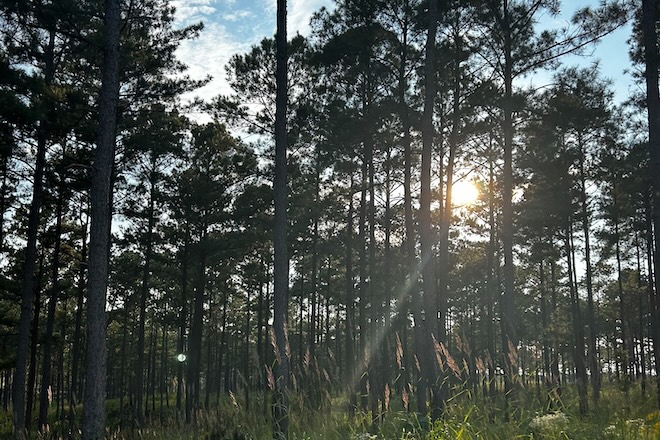 3a94060c-c853-4832-be80-b78dfd795c3a