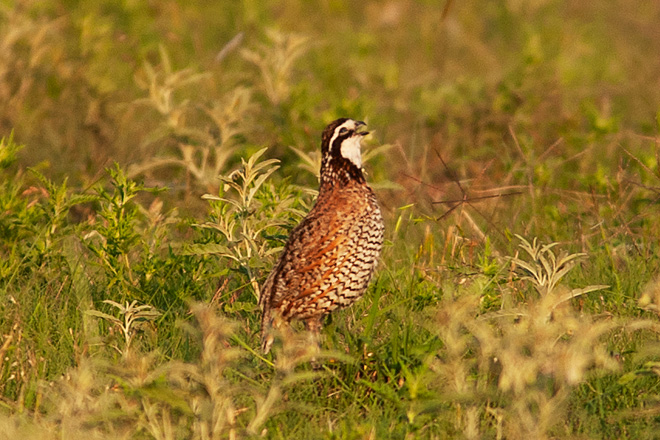 3dd42135-3d69-425f-84df-aec15a51d960