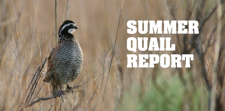 44a749a1-793f-4d8b-9324-84da66e031d2