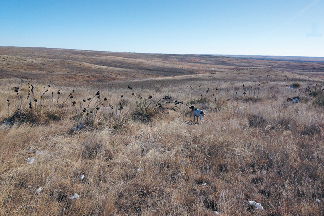 4fca750d-0f6b-48eb-85e6-2a01ba51e350