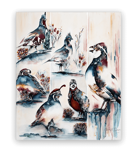 Quail in Color
