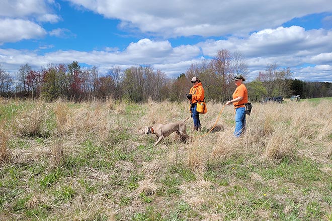 5281d085-cae8-489d-8169-d519c00a3b3f