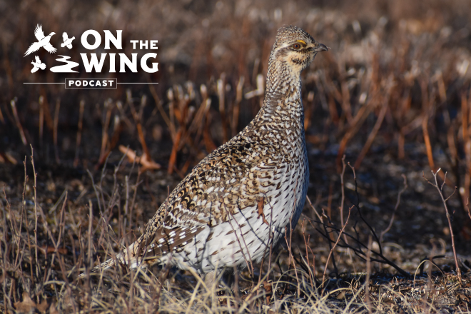 Header Secondary Navigation