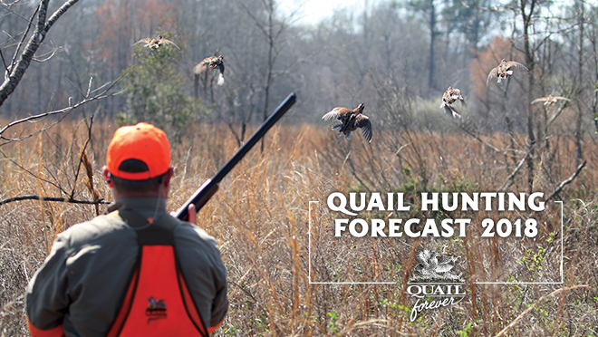 5b6ee6fb-bdc2-4fbf-a07e-dcc7f37cfb7f