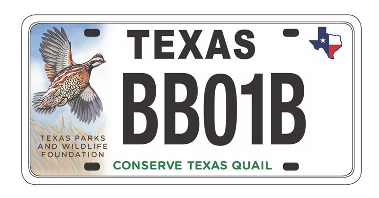 61a5f697-7c6c-4512-acd4-55ff72bcd8c2