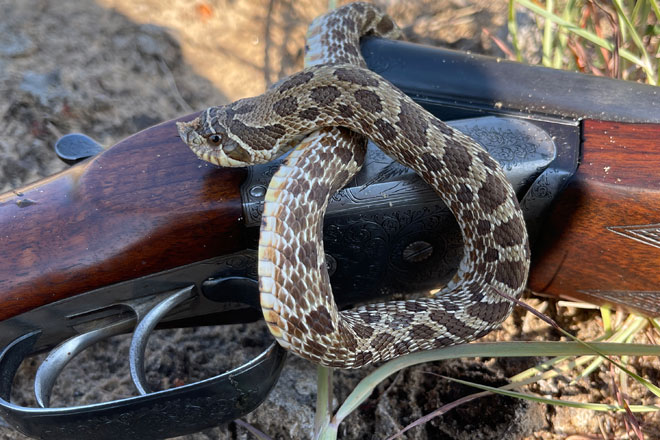 710f26b0-35f7-46ba-8191-fc156eb8a9c1