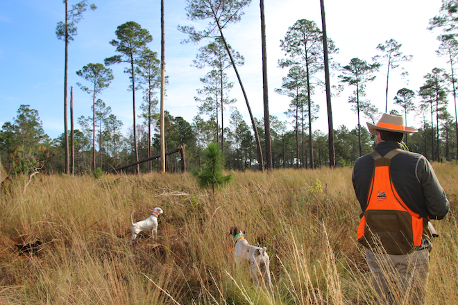 7225714b-cfee-486d-9998-6374fe0d058a