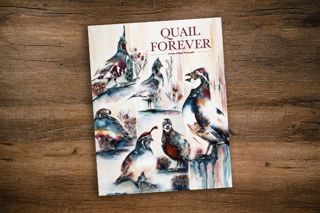 Header Secondary Navigation