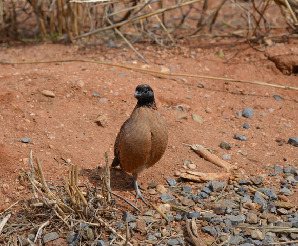 764b3d7e-bda6-406b-8b16-4ebbc4cd1266