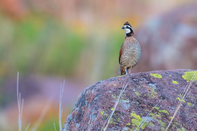 7fdc39b3-7244-4c5e-adaa-53041b40d452