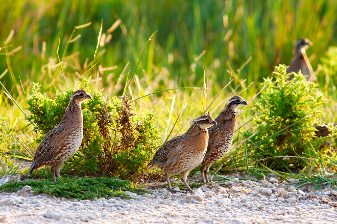 80722873-cbec-46f8-a4f0-36fe3d8b2eb4