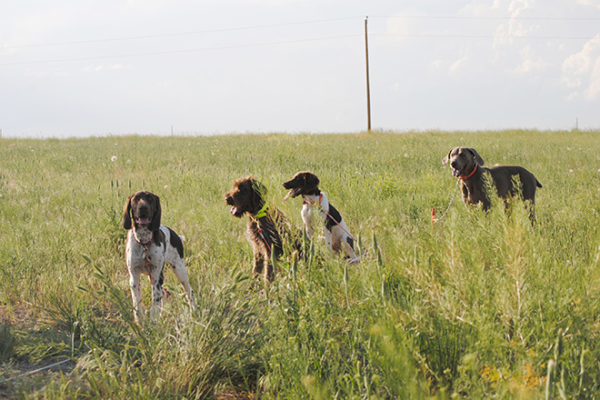 84b854e4-fc6d-41c8-adfe-5865603bca51