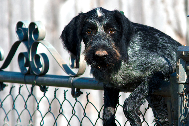 85b6a6cf-b58f-4577-9a02-e18490cc69de