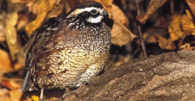 85c2d113-4cdf-4f33-ab1c-155f5011d498