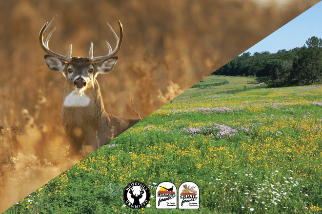 89c27bbb-df1e-4744-aa58-5d944a6afc9e