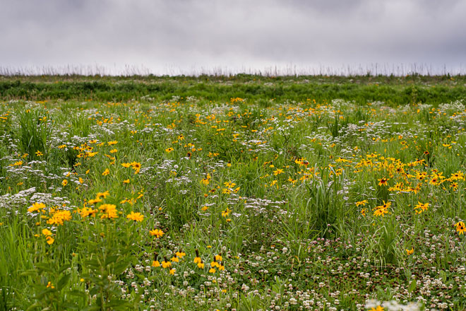 Header Secondary Navigation