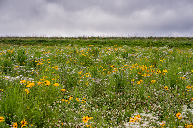 8ee106df-8f9f-41aa-9be5-cc8eea4a827e