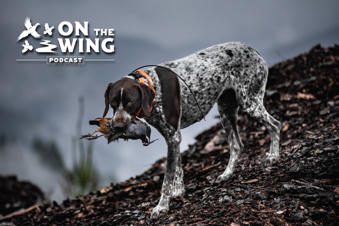 9a0b1488-003c-4904-9cbc-a194a157ca4d