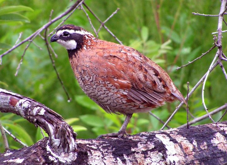 9fff3929-4f51-44c9-90c6-8bebe3bed4f7