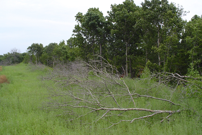 a7f58187-90fd-46c1-bcbf-f63b76fb370c