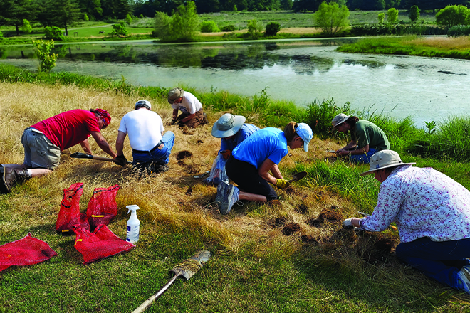 a8902f4e-70f6-4cde-8ef1-999219289742