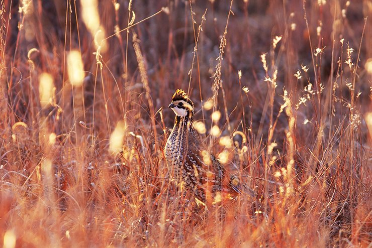 aadcf09e-ddc3-40f7-91eb-4dafa89ad584