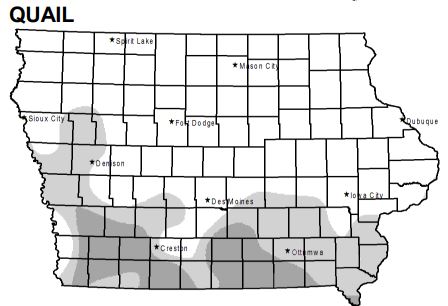 IOWA QUAIL HUNTING TIPS