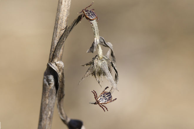 c8deaf2f-b0f7-47b1-bf7c-05ed3597cb46