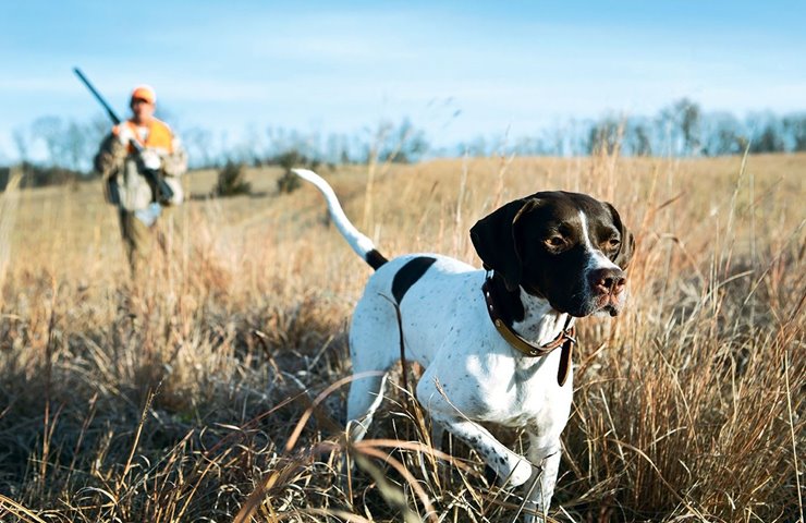 c8e26aed-68ae-49b6-88ca-c102ab7de8b9