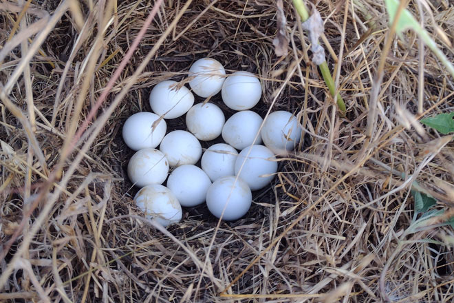 ccd84ebc-38c9-4064-8978-9440bc4ab592