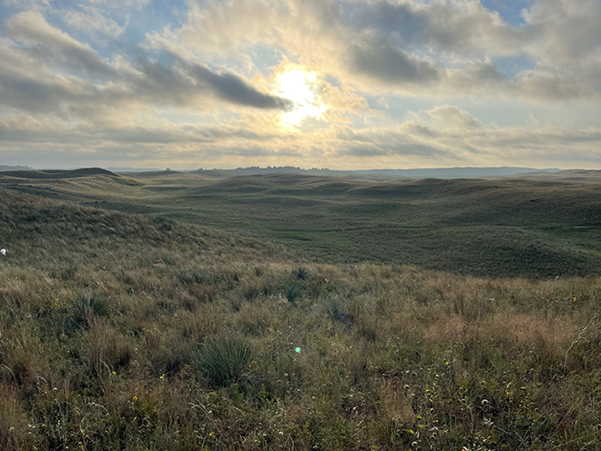 Chad Love is editor of Quail Forever Journal