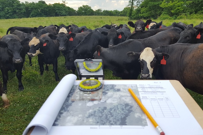 Header Secondary Navigation