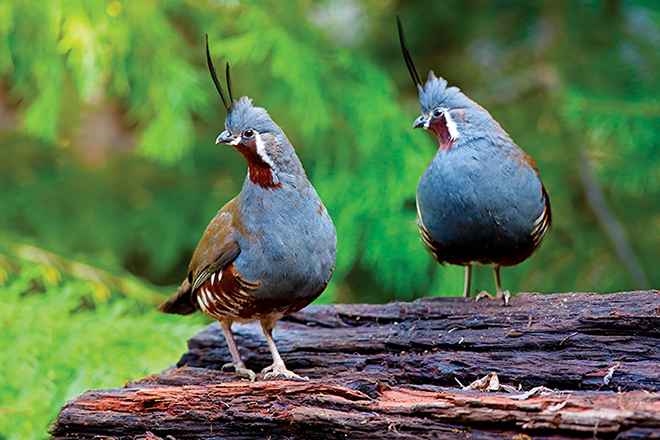 df70af8a-6a05-4c7b-95db-0b4d863a6f1f