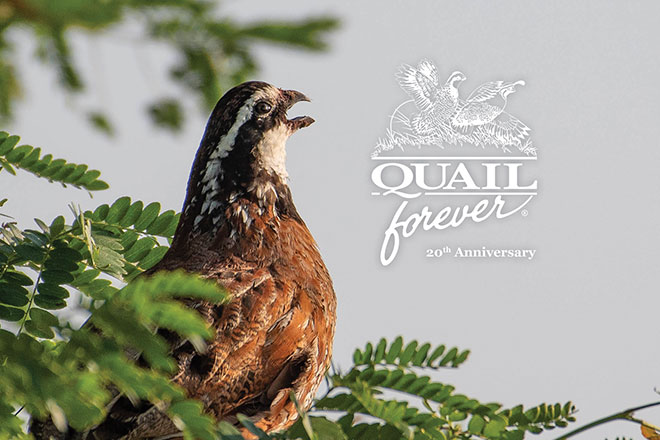 ed2225b1-567a-4605-91c6-28e1d59ed5e2