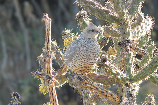 ee38a738-f0a1-4986-80cc-94d520848c49