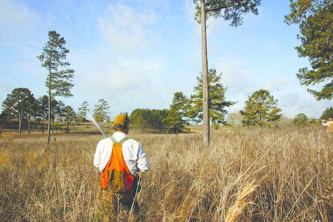 eecded19-384a-4c02-aaff-d3649e4aeac6