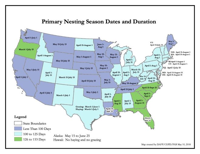 Header Primary Navigation